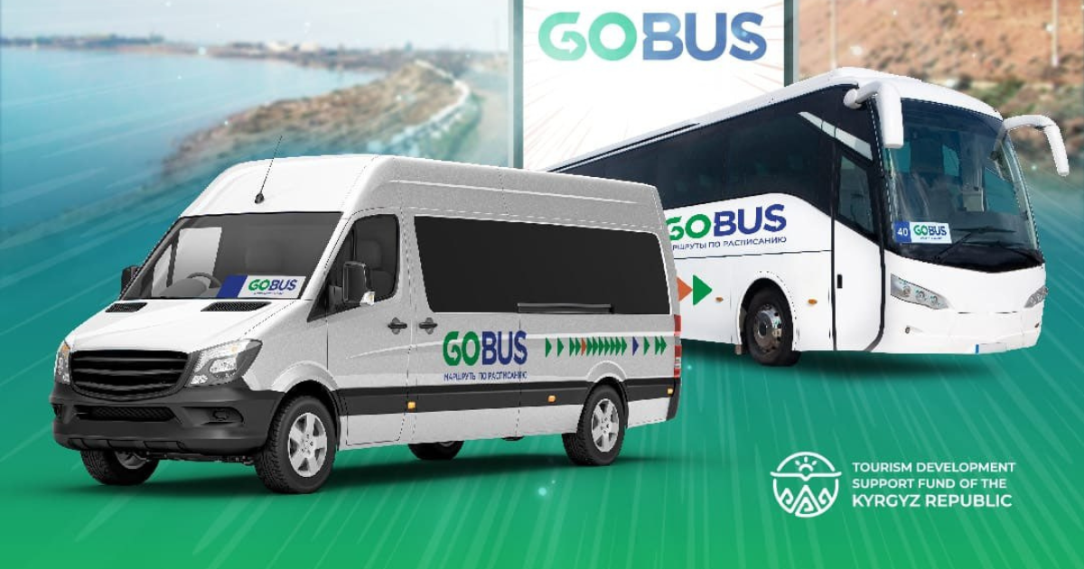 GoBus запускает два новых маршрута на Иссык-Куле - | 24.KG