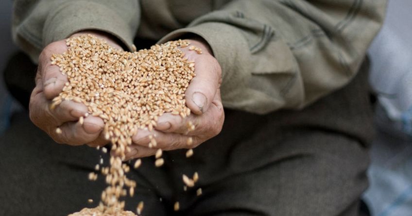 Muftiyat determines size of sadaqa al-fitr - | 24.KG