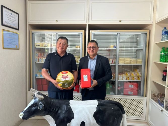 Talas dairy producers to increase raw milk purchases from farmers - | 24.KG
