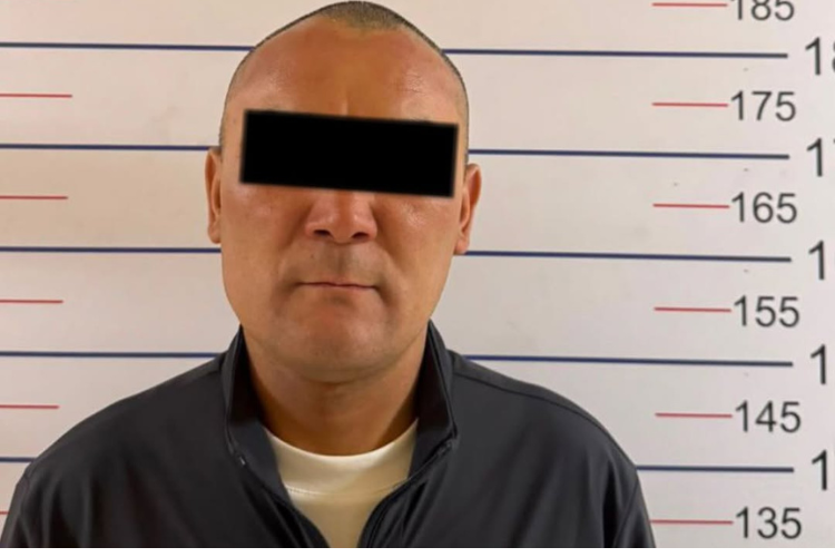 Man suspected of rental fraud detained in Bishkek - | 24.KG